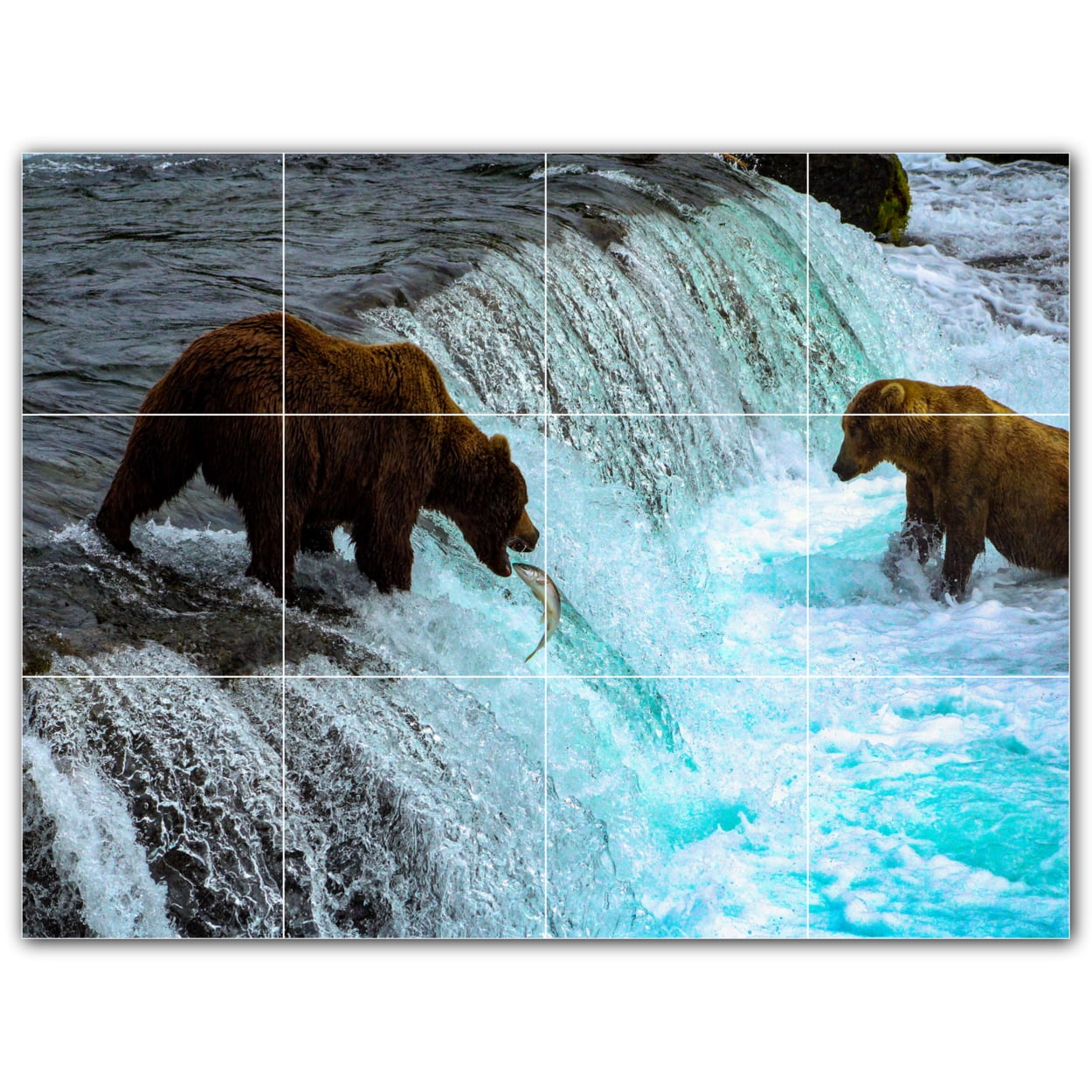 Picture-Tiles.com: Bear Ceramic Tile Wall Mural WAL500117-43M. 24"W x ...