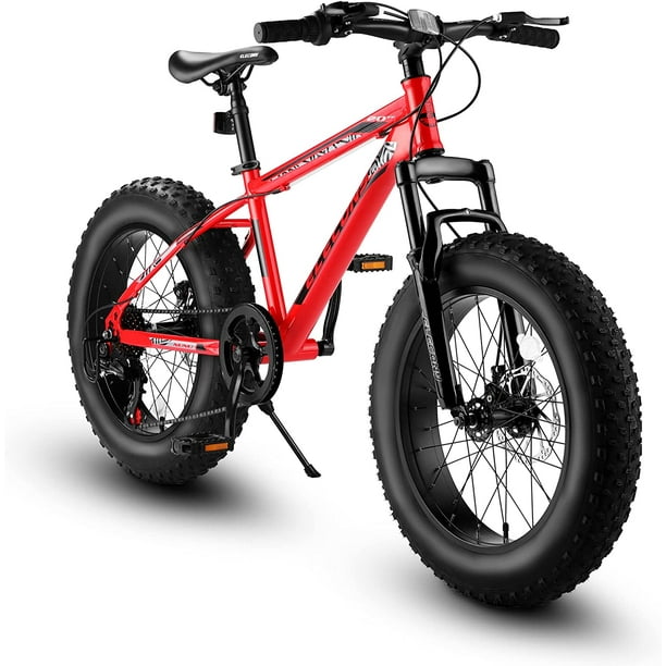 24 Inch Fat Tire