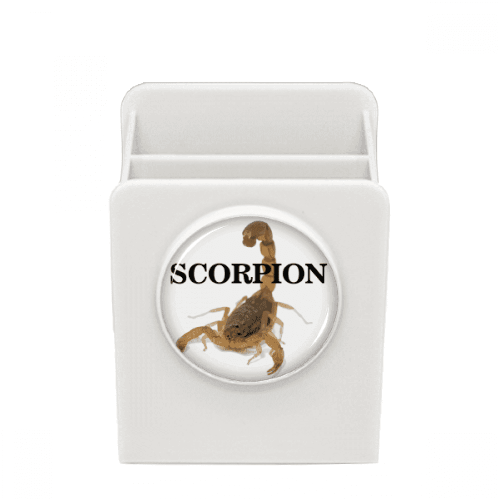 Scorpion Natural Insect Routine Desk Pencil Holder Cup Pen Organizer ...