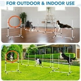 Aukfa Dog Agility Equipment Set, Includes Agility Hurdle, Jumping Ring ...