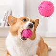 Kraoden Interactive Squeaky Dog Toy, Soft Rubber Chew Ball with ...