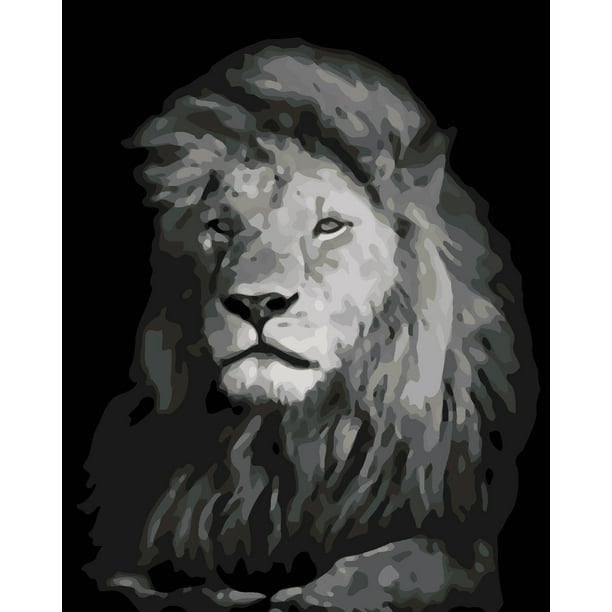 DIY Oil Painting Carnivore Lion Felidae Jaw Big cats Snout Drawing ...