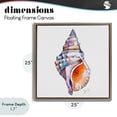 Stupell Industries Sunrise Conch Shell Brown Framed Floater Canvas Wall ...