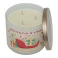 Bath and Body Works Winter Candy Apple Scented 3-Wick Candle (14.5 oz ...