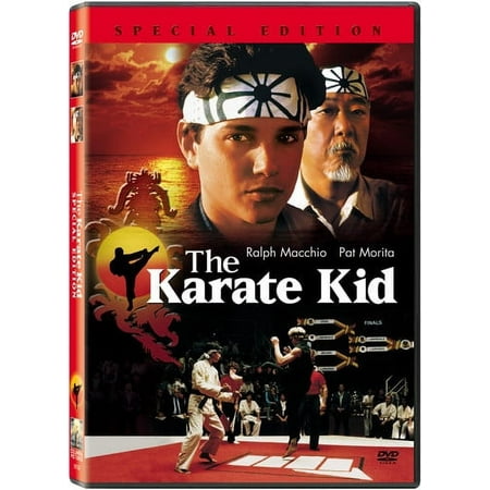 The Karate Kid [DIGITAL VIDEO DISC] Special Ed, Subtitled, Widescreen ...