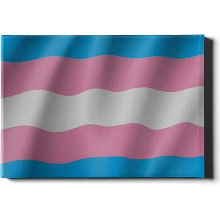 Decorative Wall Paint Transgender Pride Flag Window Art Wall Decor 12 X ...