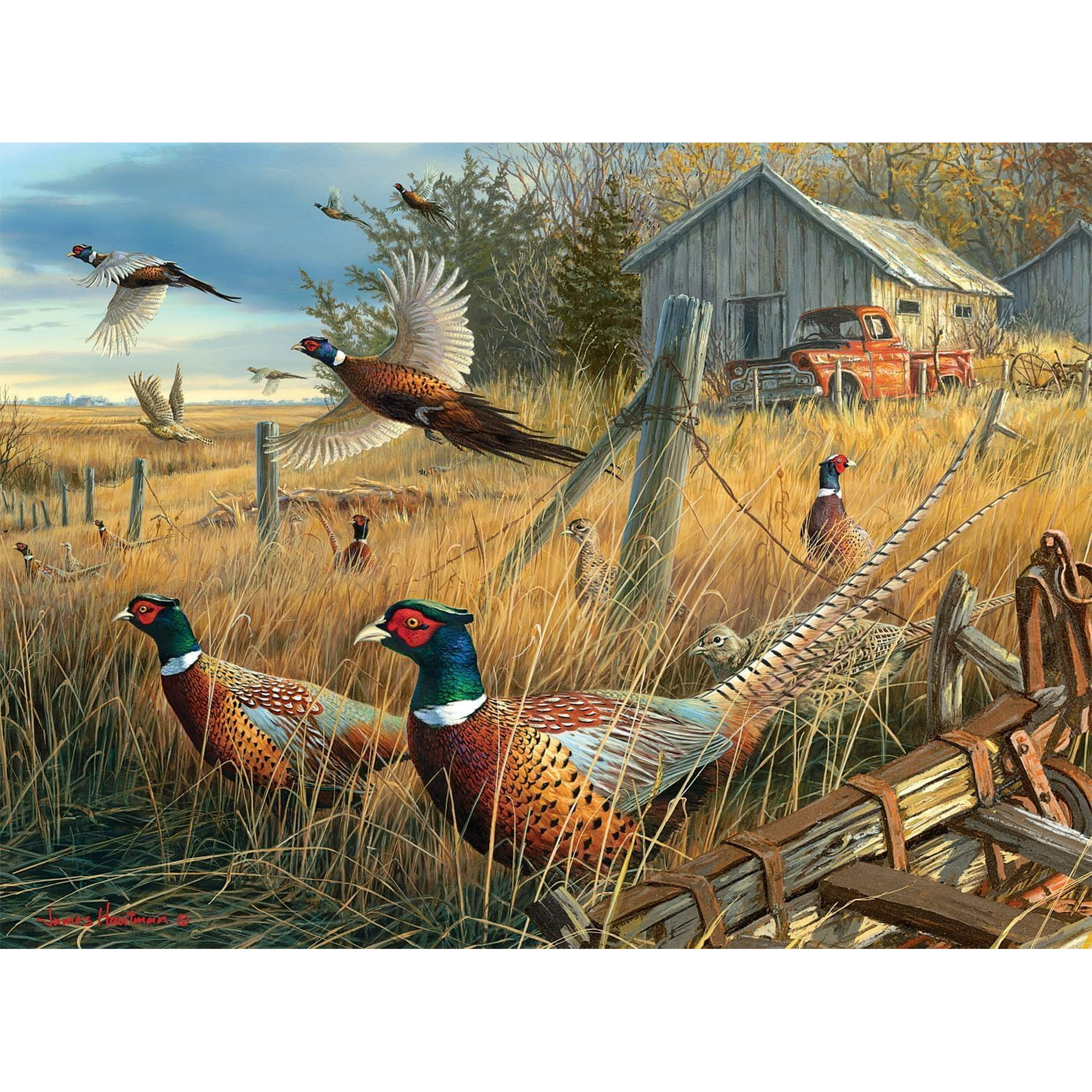 Click here for Wipblak Hautman Brothers Memory Lane 1000 Piece Ji... prices