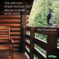Dalen Gardeneer Owl Scarecrow Decoy with Rotating Head, 18-Inch Hand ...