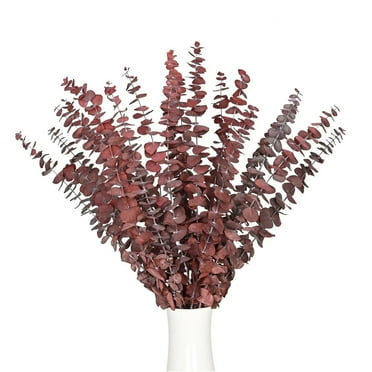 Trianu 40 Pcs Fall Eucalyptus Stems Red, 16'' Dried Eucalyptus Bundle ...