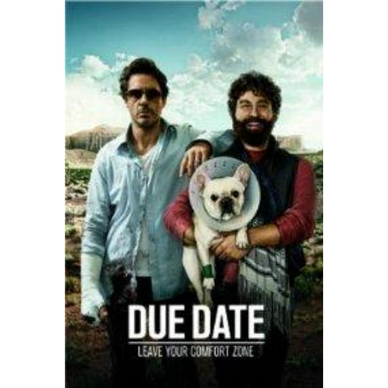 Due Date Movie Dog