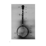 Banjo: Melodic Banjo (Other) - Walmart.com