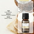 EUQEE 6PCS Premium Grade Fragrance Oils for Homemade Bread-10ml-Pumpkin Pie, Coconut Cream ...