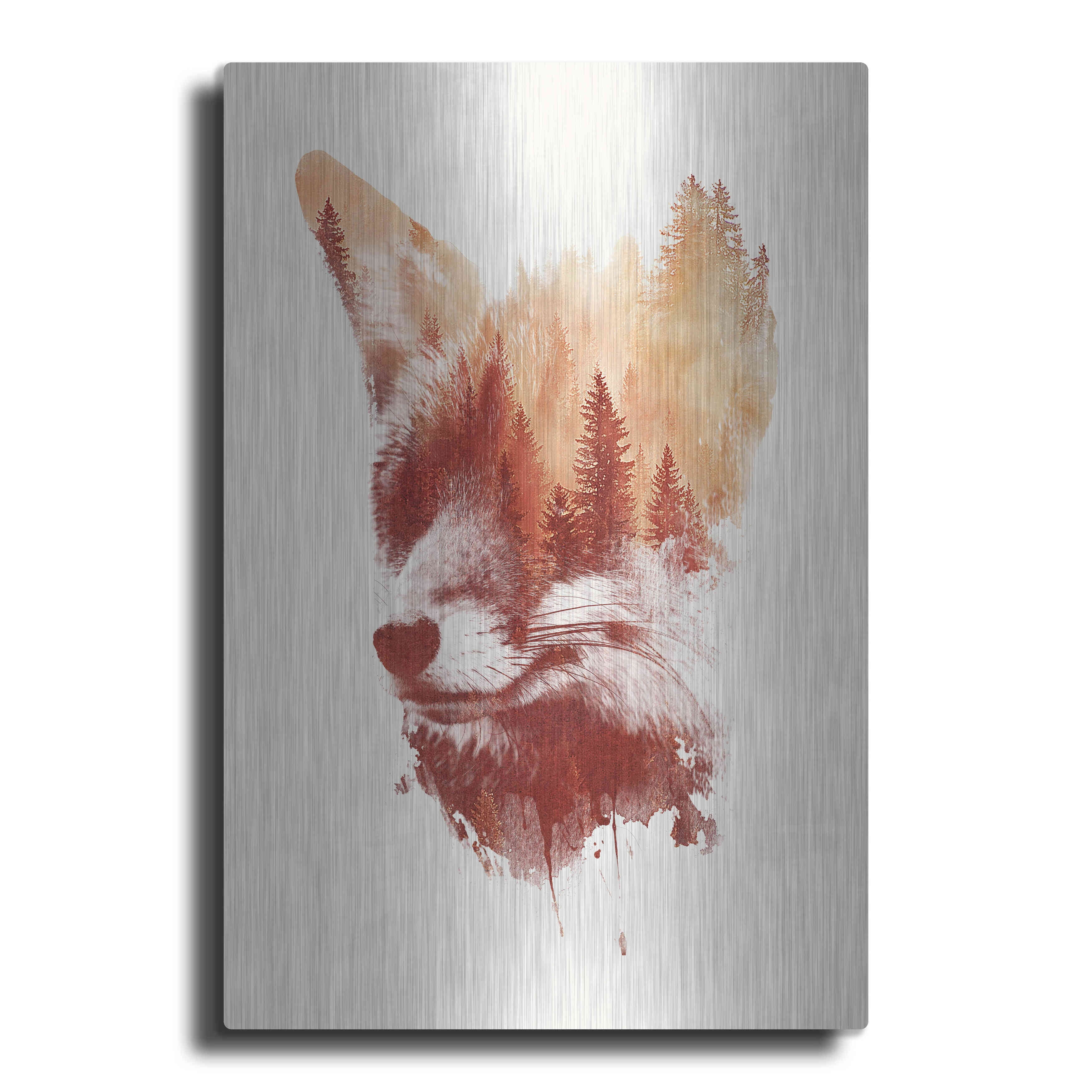 Luxe Metal Art 'Blind Fox' by Robert Farkas, Metal Wall Art, 16"x24 ...