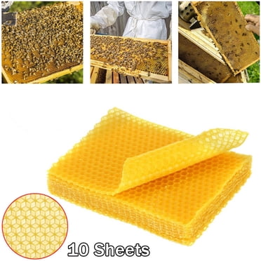 30pcs Honey Sheets Beehive Wax Foundation Beekeeping Equipment Bee Comb ...
