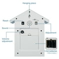 Minimalist Cuckoo Clock with Chimer, Pendulum, Battery Powered Bird ...