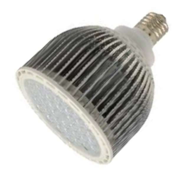 Neptun Lighting Led | Shelly Lighting