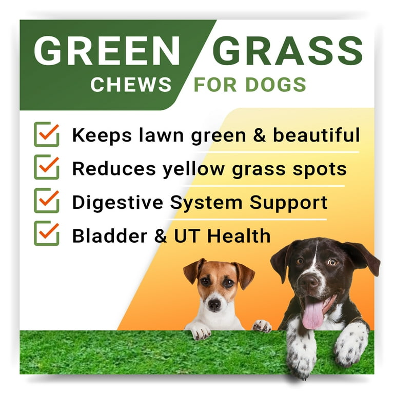 All-Natural Grass Treatment For Dog Urine Grass Saver For, 41% OFF