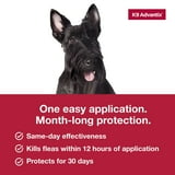 K9 Advantix II Flea Tick Mosquito Prevention for Medium Dogs 11-20 lbs ...