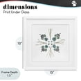 Stupell Industries Seashell & Leaf Symmetry White Framed Print Under ...