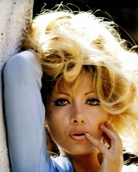 Ingrid Pitt 1970's glamour portrait of Hammer Horror star 11x17 poster ...