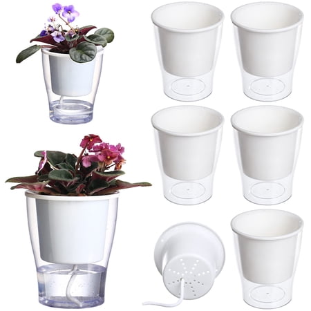 5-Pack 51 Inches clear Self-watering Planters African Violet Pots ...