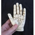 Palmistry Hand Model Resin Sculpture Fortune Telling Palm Reading with ...