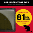 Catchmaster Sticky Pest Control Jumbo Glue Traps - 8 Extra Sticky Traps ...
