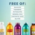 Real Raw Shampoothie Biotin Boost 7-in-1 Leave in Conditioner, Hair ...