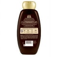 Garnier Whole Blends Gentle Daily Nourishing, Ginger Recovery ...