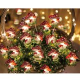 Morttic 20 LED Mushroom String Lights Battery Powered Fairy String ...