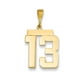Real 14kt Yellow Gold Large Polished Number 13 Charm Pendant; for ...