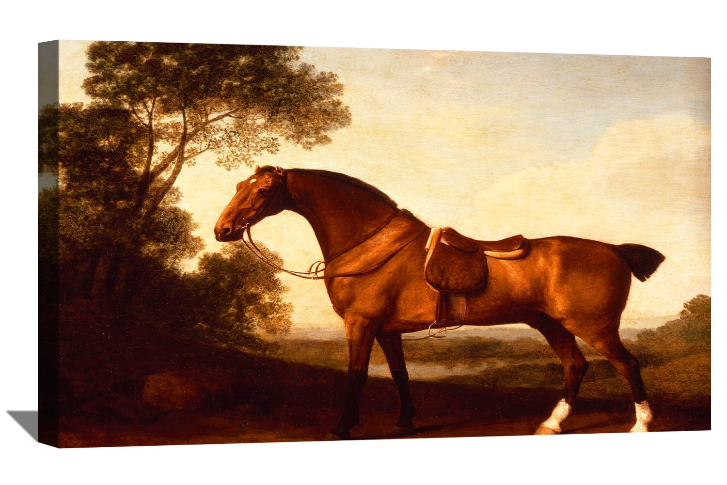 George Stubbs Paintings Sporting Art Print A Saddled Bay Hunter Canvas ...