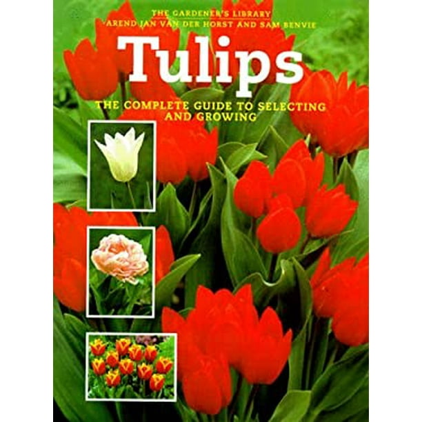 Tulip Wars