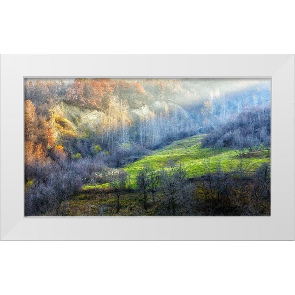 Popan, Adrian 24x15 White Modern Wood Framed Museum Art Print Titled ...