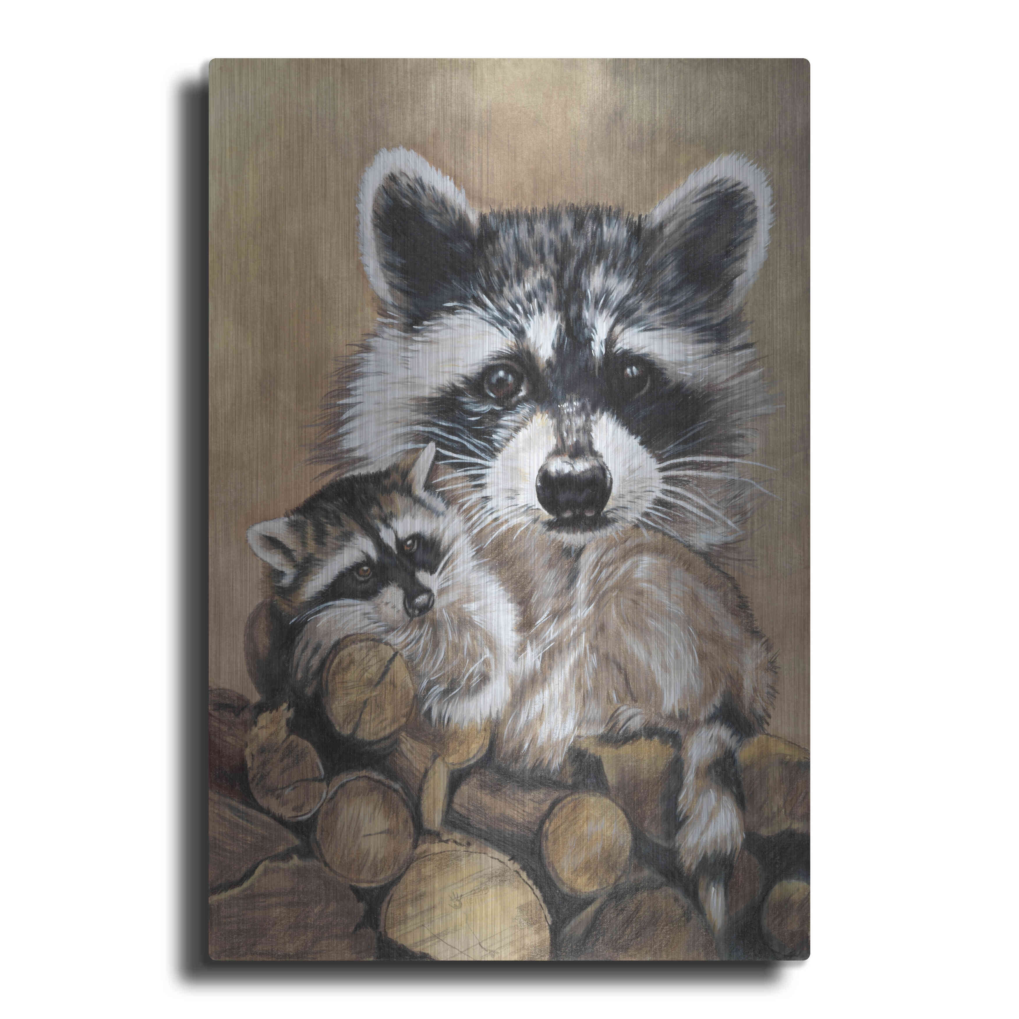 Luxe Metal Art 'Bandit' by Barbara Keith, Metal Wall Art, 12"x16 ...