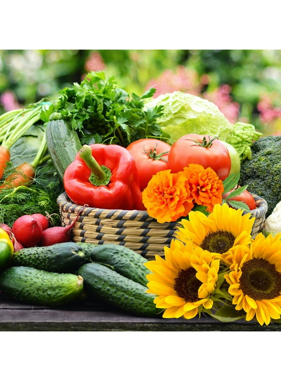 Wildflower Mix Flower Seeds in Seed Gardening - Walmart.com