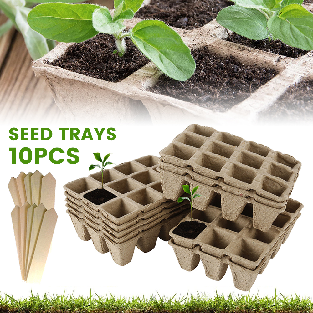 with 10 Plastic Plant Labels and 2 Seedling Lifters 10pcs-Black Seed ...