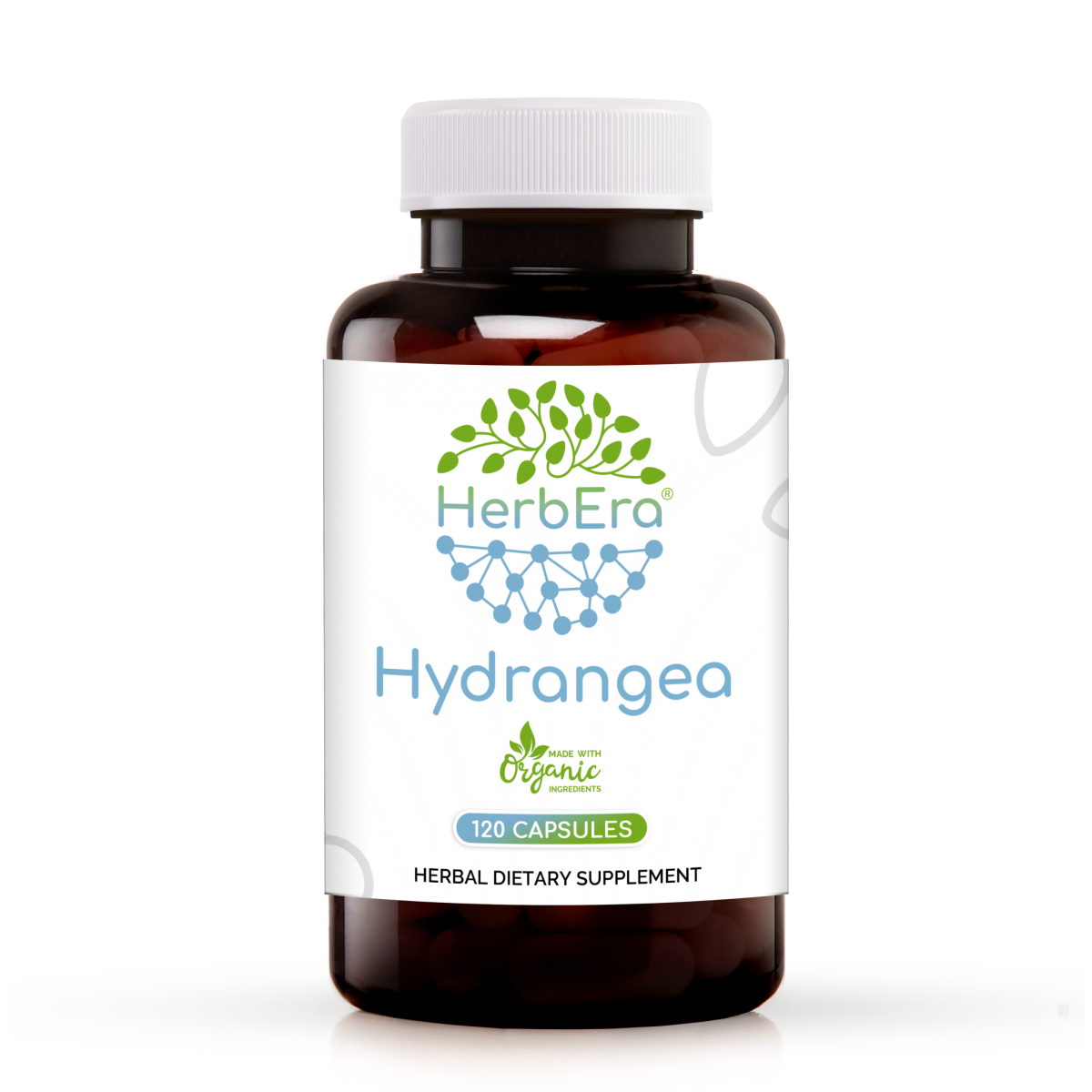 Hydrangea 120 Capsules, 500 mg, Organic Hydrangea (Hydrangea ...