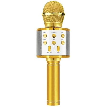 Wireless Bluetooth Microphone Singing and Audio Integration, Portable ...