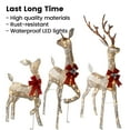 3 Pack 3D LED Lighted Christmas Reindeer Deer Family (5ft Buck & 4ft ...