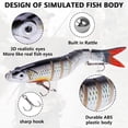 6 count Swimbait Kit Realistic and Surface with Realistic fisheye and ...