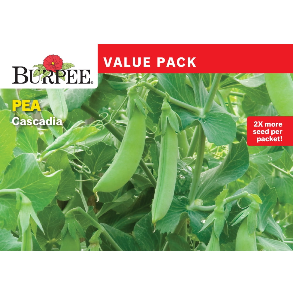 Burpee Value Pack Pea Cascadia - Walmart.com