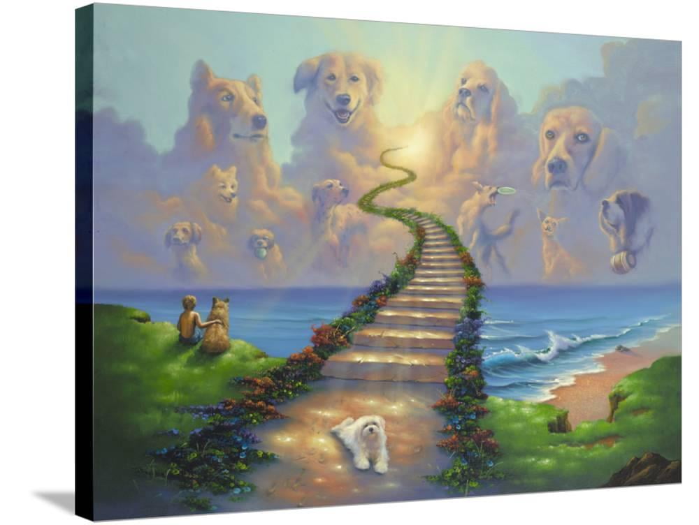 Move to heaven - momsquest