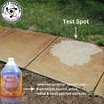 Rust Buster Commercial Heavy-Duty Rust Stain Remover - 1 gallon (128 oz ...