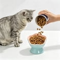 ACDANC Slow Feeder Cats Bowl-Ceramic,Reduces Overeating&Gulping,Easy ...