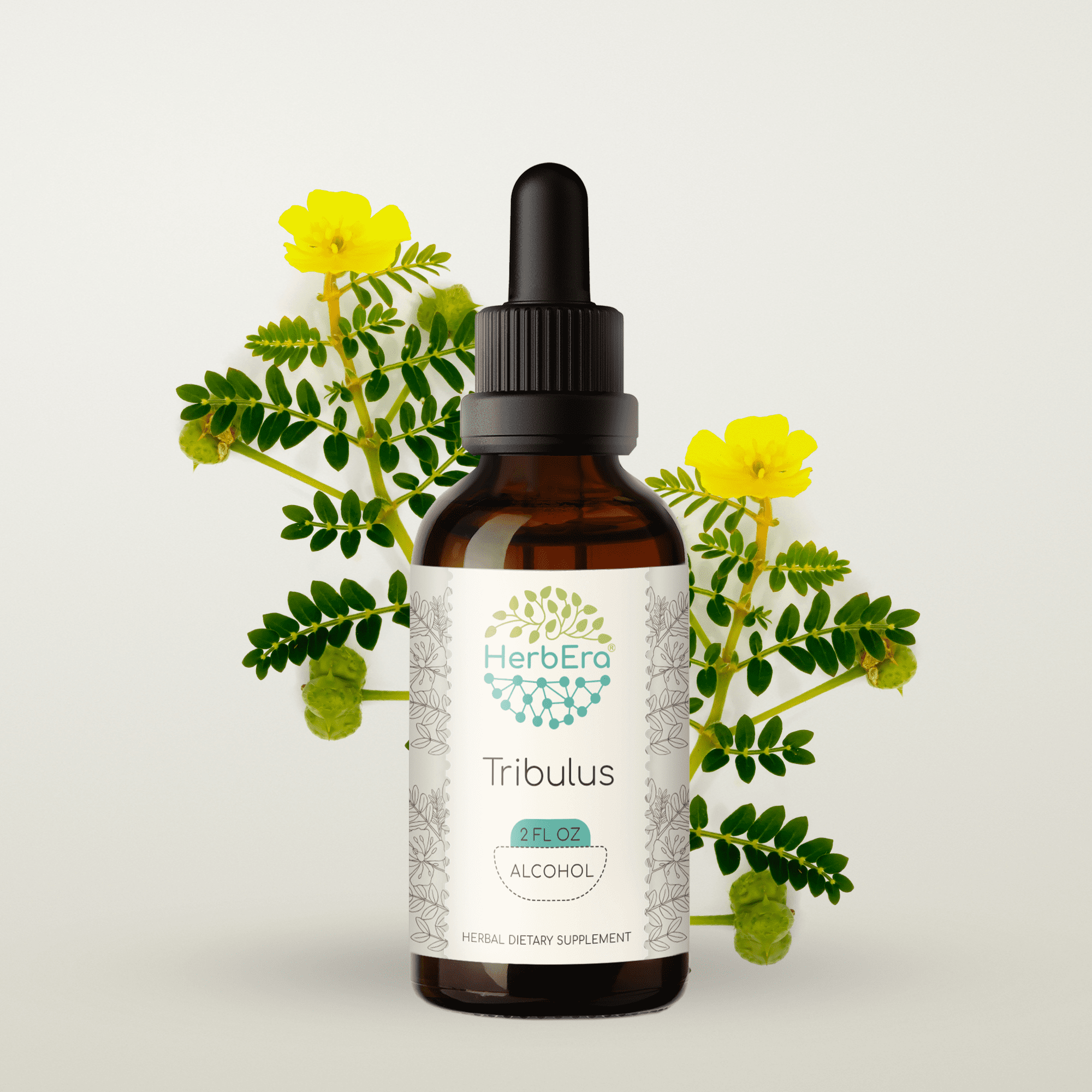 Tribulus Alcohol Herbal Extract Tincture, Super-Concentrated Organic ...