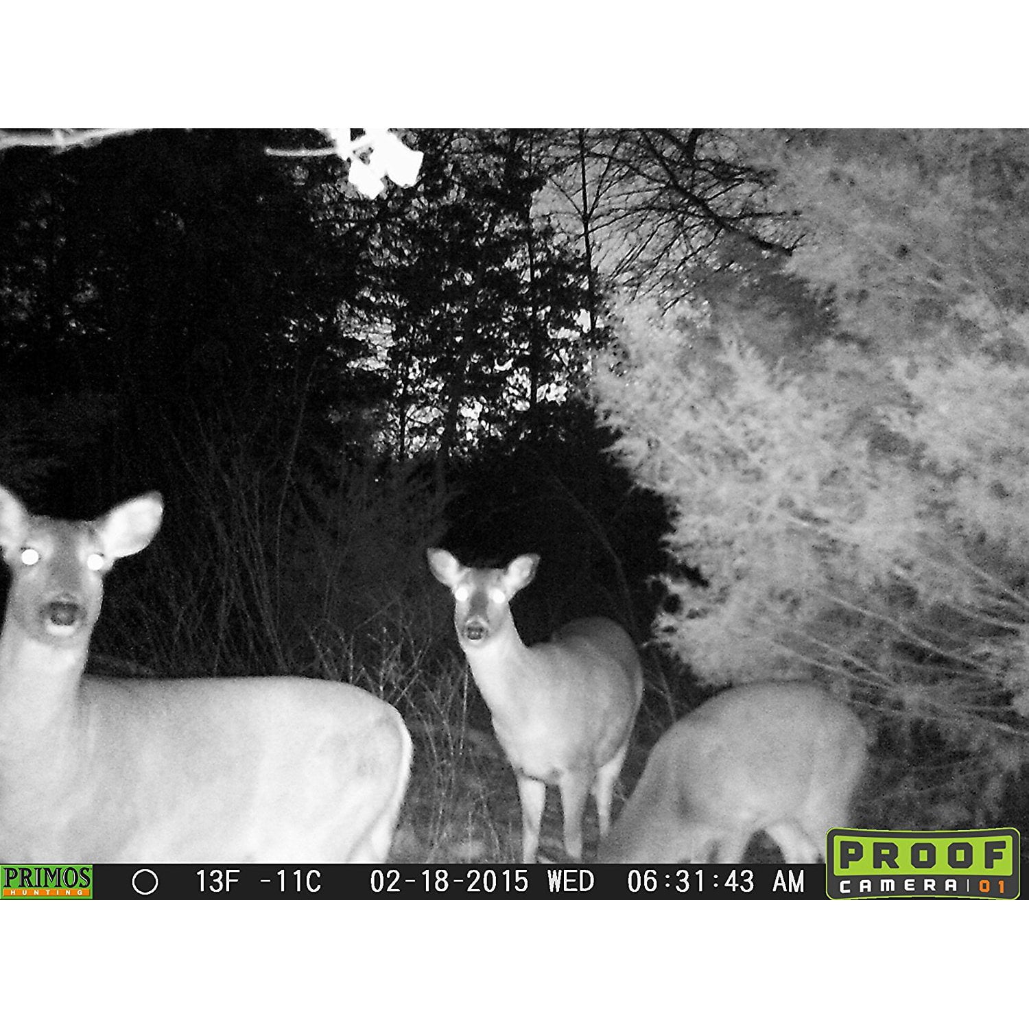 Primos Hunting Proof Gen 2 Cam 12mp Hd Video 80 Foot Range Game Trail ...