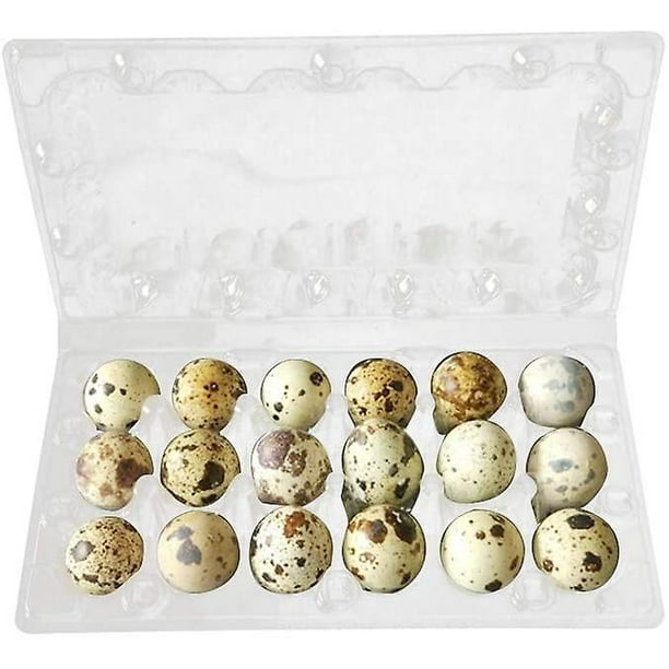 Bestonzon 100pcs Clear Pvc Quail Egg Storage Boxes - Walmart.ca