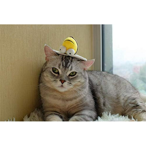 Gigwi Interactive Cat Toys Animal Sound Bird/Mouse/Bee Interactive ...