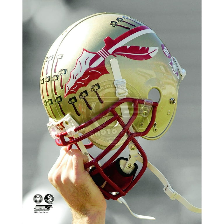 Florida State Helmet
